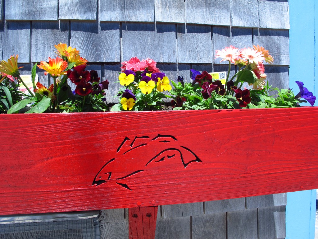 Pretty Window Box Ideas
