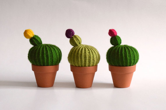 Cactus-Themed Items for Your Home - Kiku Corner